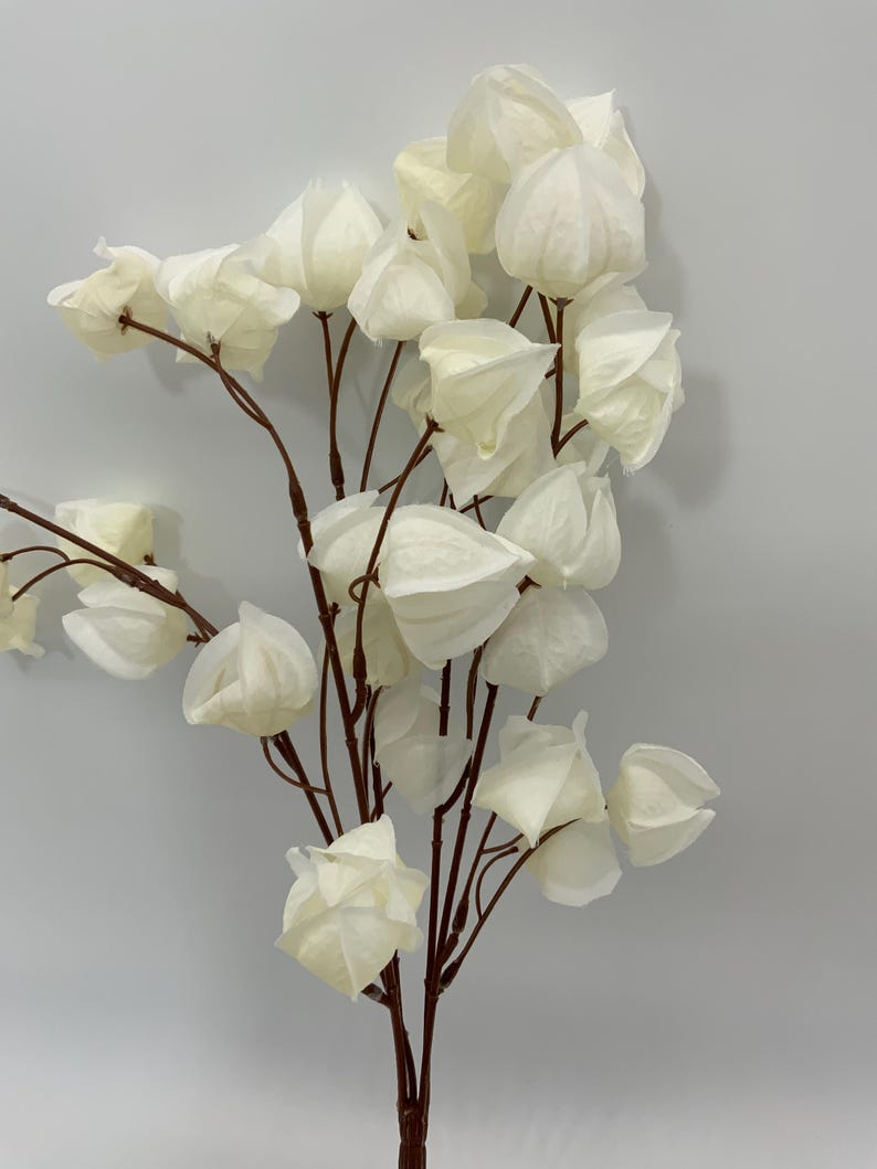 Off-white Chinese Lantern Flower Stem, Faux Floral Arrangement - Etsy
