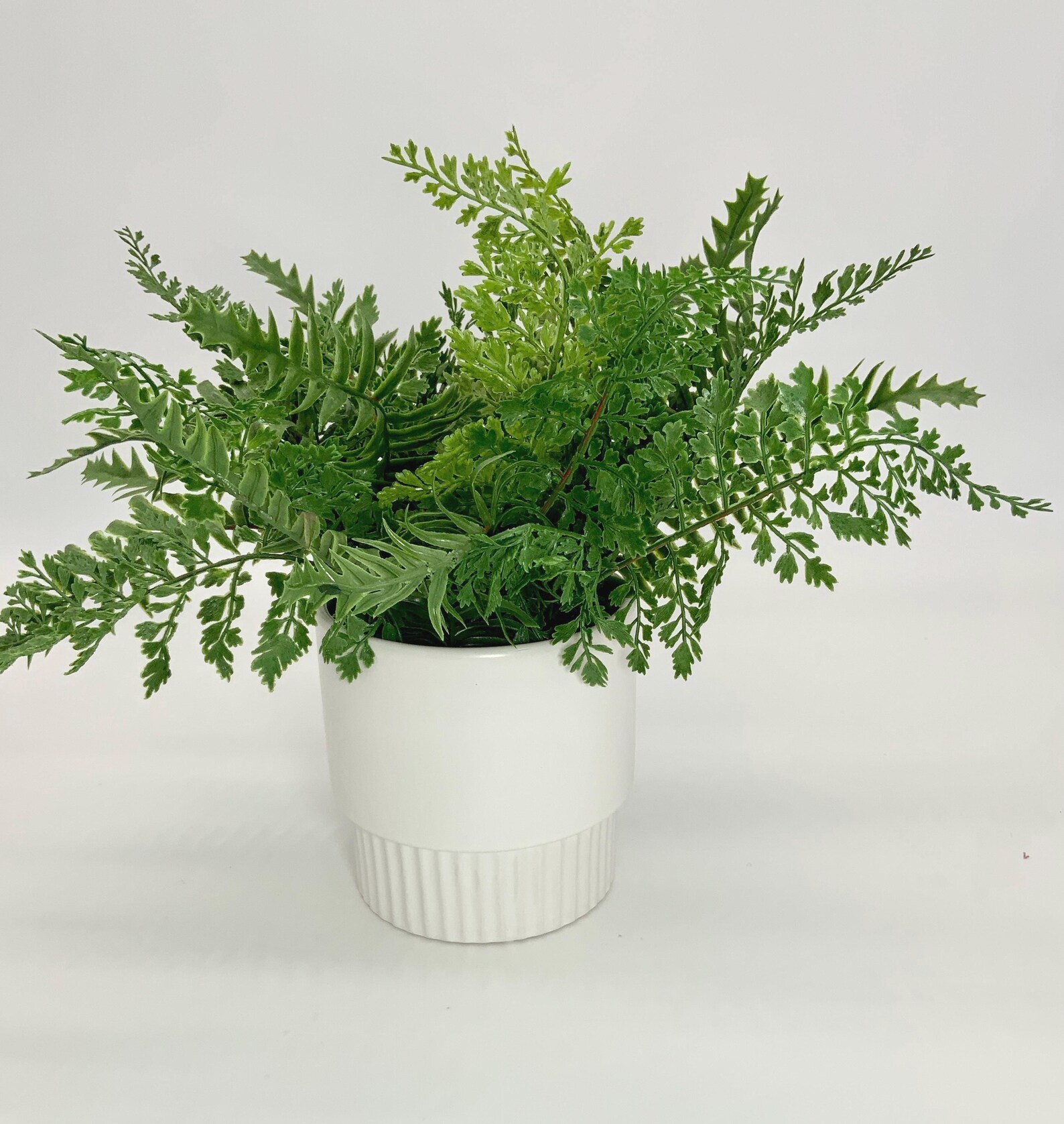 Artificial Fern in White Ceramic Pot, Boho Home Decor - Etsy