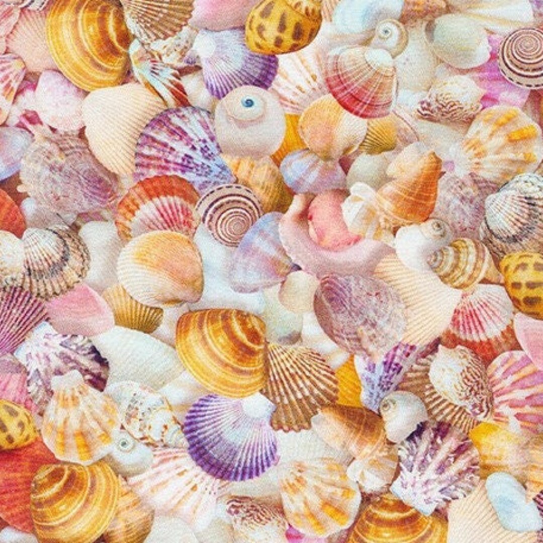 Cotton Shells, Snail Shells, Pastel Colors, Pastel, Maritime, Flotsam ...