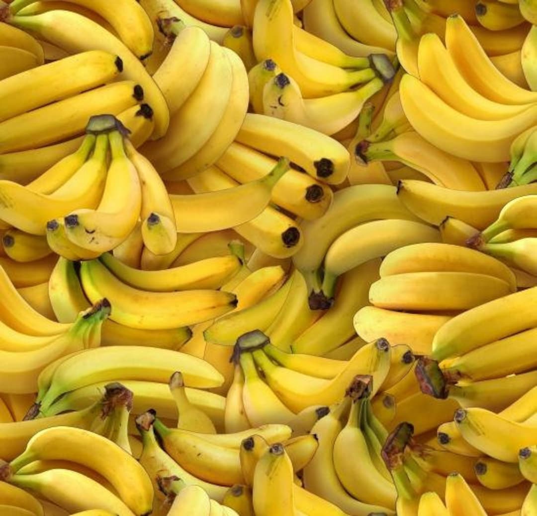 Baumwollstoff BANANAS – Bananen Print, Food Design, Patchworkstoff für ...