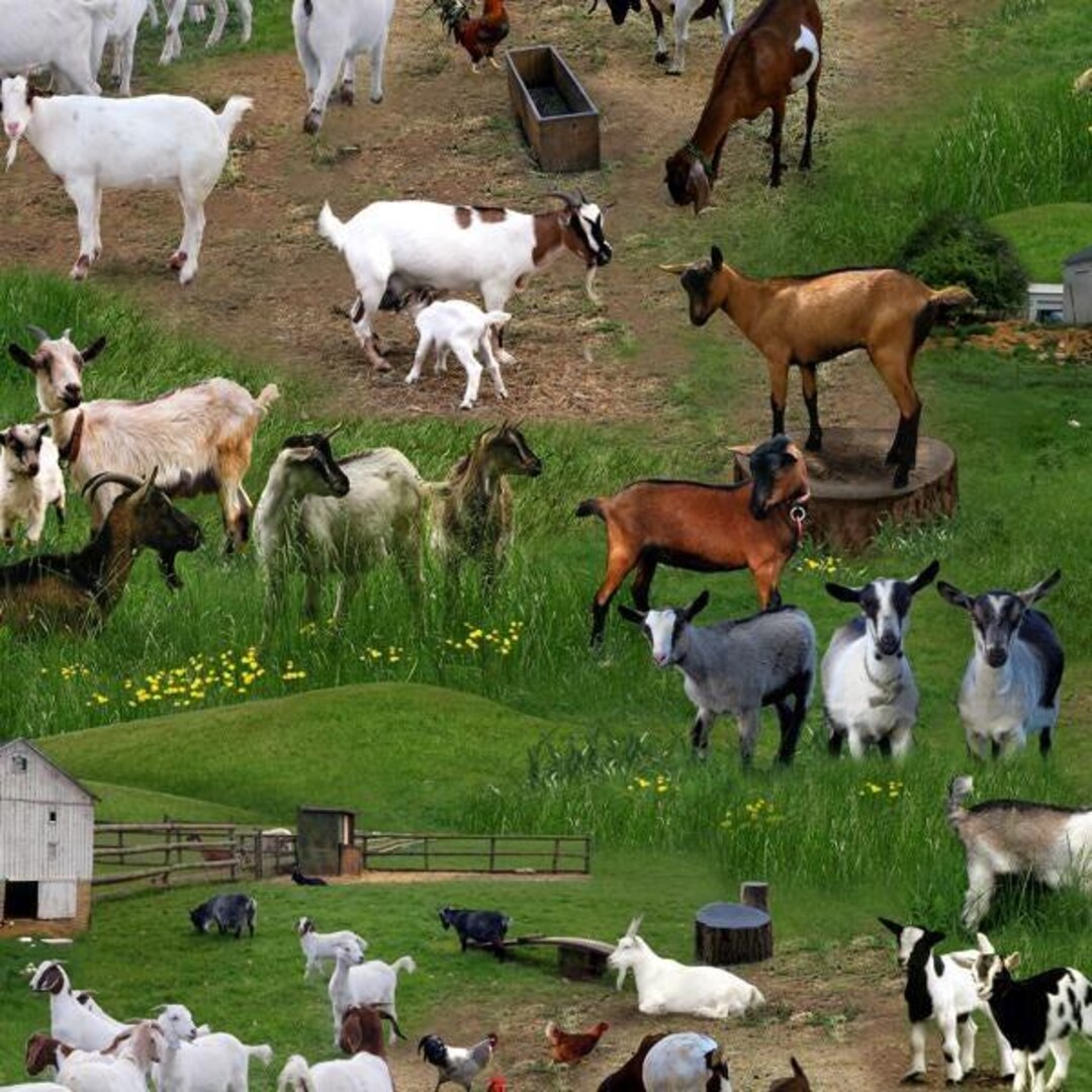Cotton Fabric Goats Farm Kid Goat Elizabeth's Studio Patchwork Fabric ...