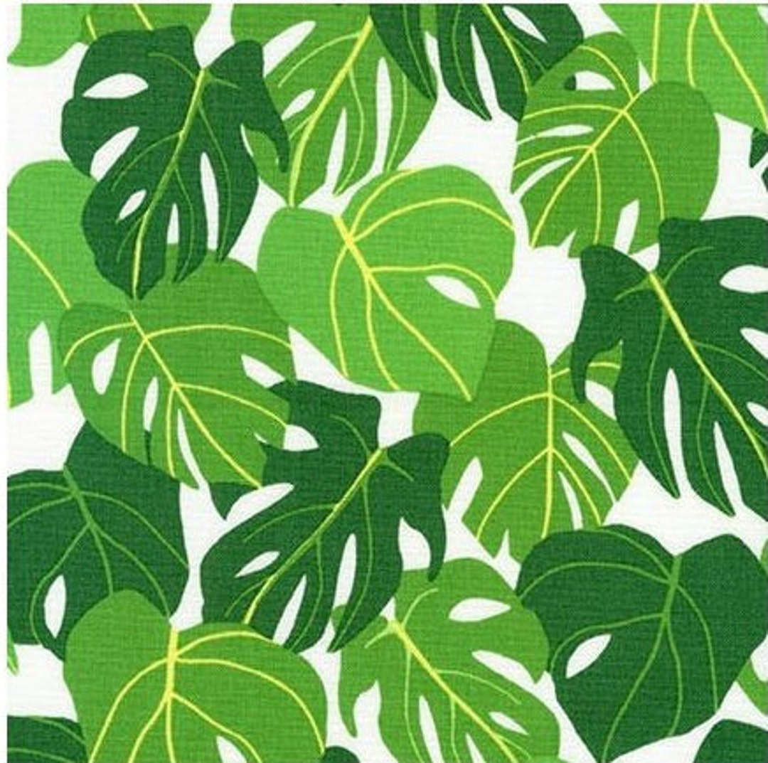 Cotton Monstera Rubber Tree Window Leaf Plant Ficus, Hanging Basket ...