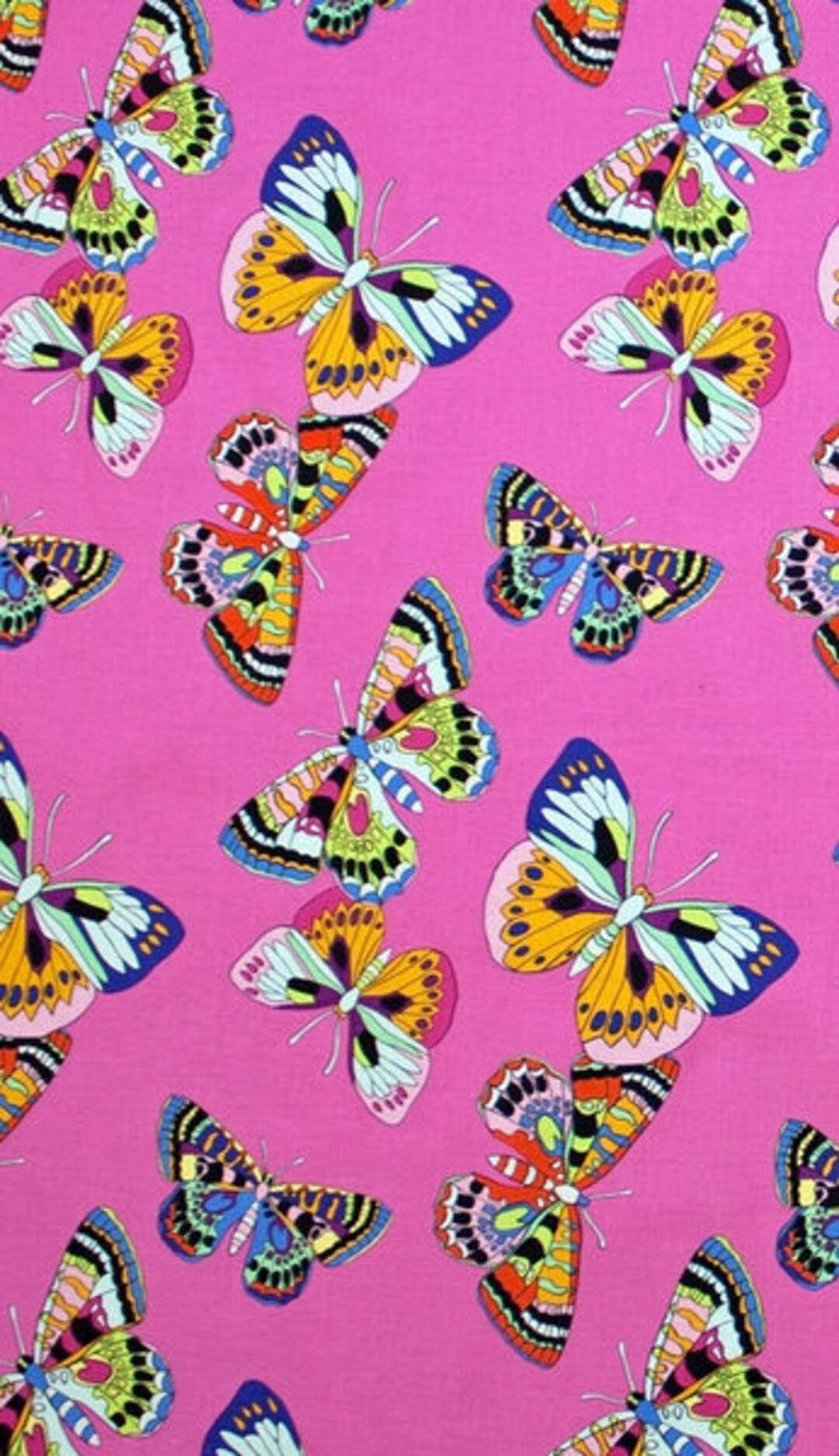 Cotton Butterflies, Butterfly, Moth, Papillon, Alexander Henry, Peacock ...