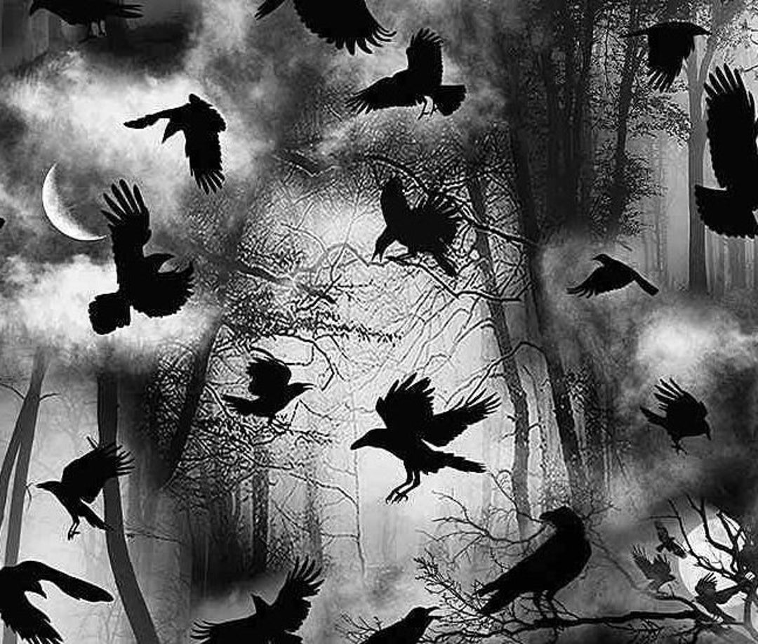 Cotton Raven, Ravens, Crows, Full Moon, Night, Darkness, Nightshade ...