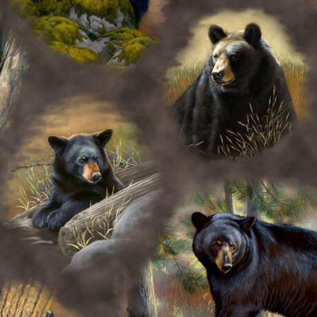 Cotton Bears, Black Bears, Bear, Forest Animals, Predators, Woven ...