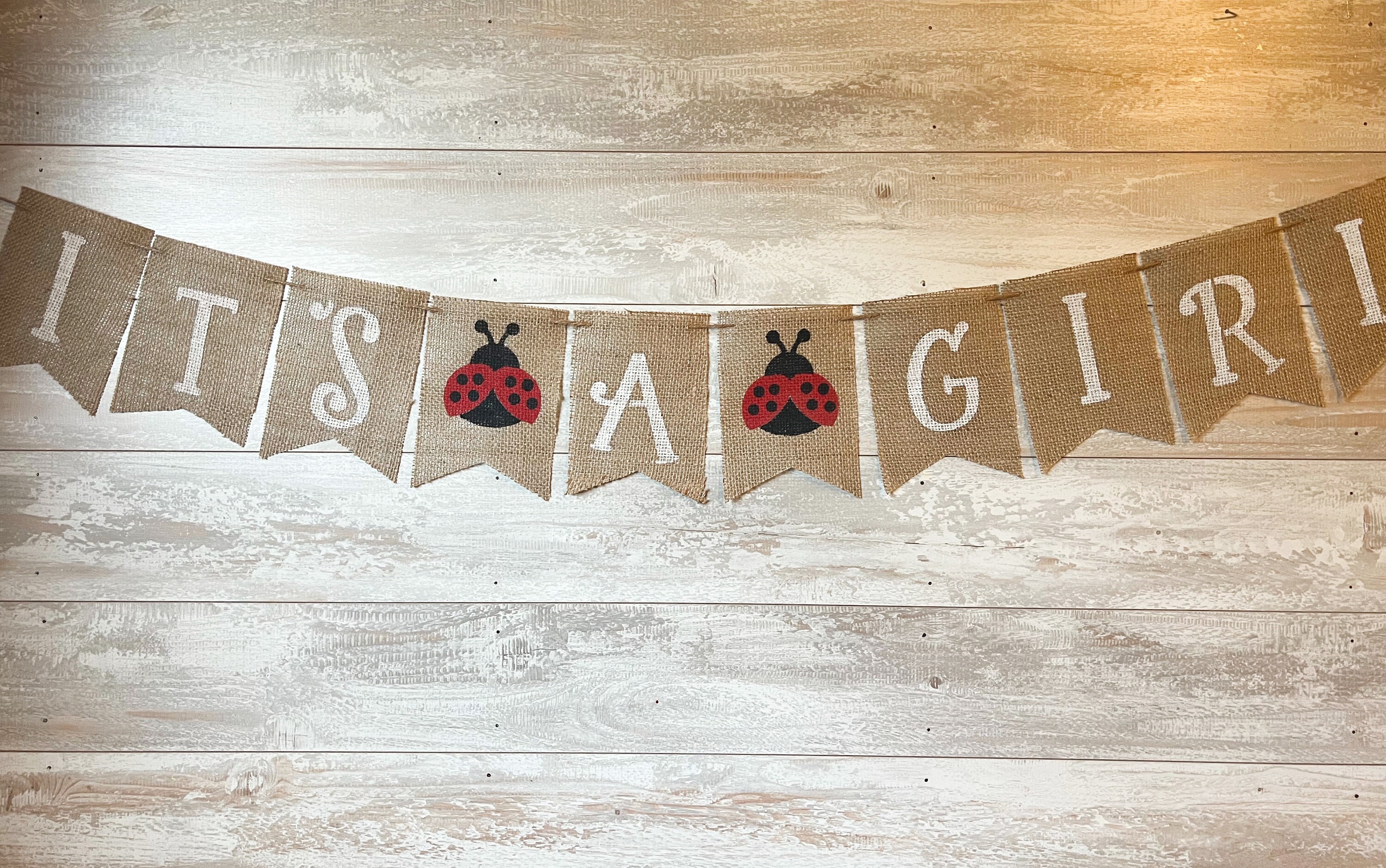 It's A Girl Banner, Ladybug Banner, Ladybug Baby Shower Banner, Baby ...