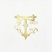 CT Vintage Monogram TC Duogram CT Classic Wedding Monogram Interlocking ...