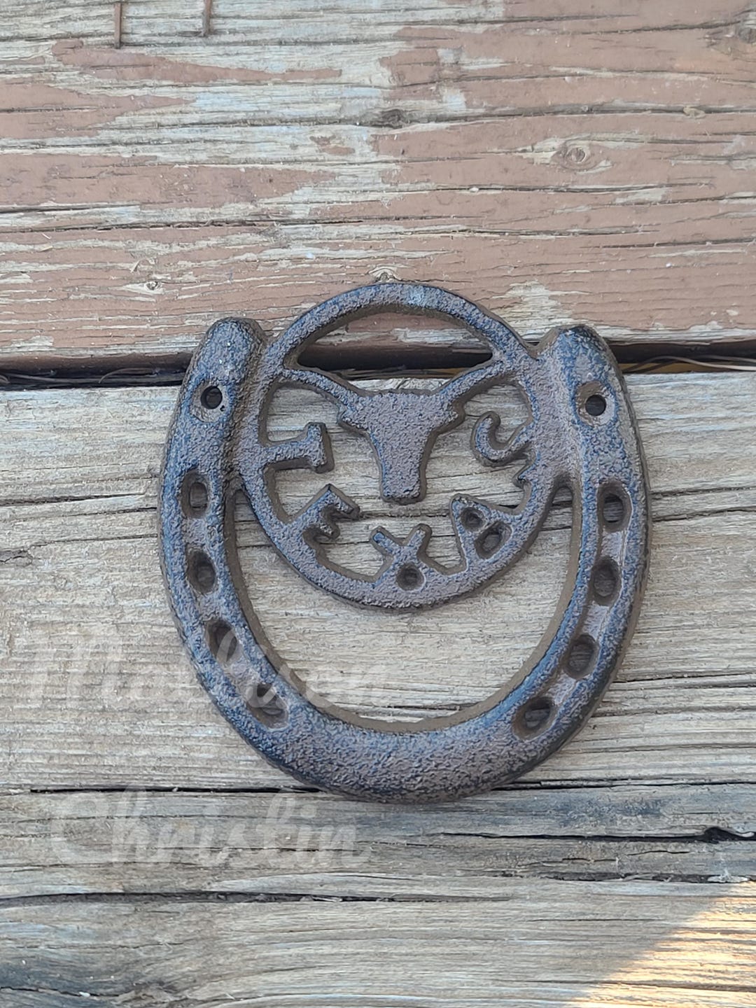 Texas Longhorn Cast Iron Ring Metal Wall Decor Cowboy Western Farm ...