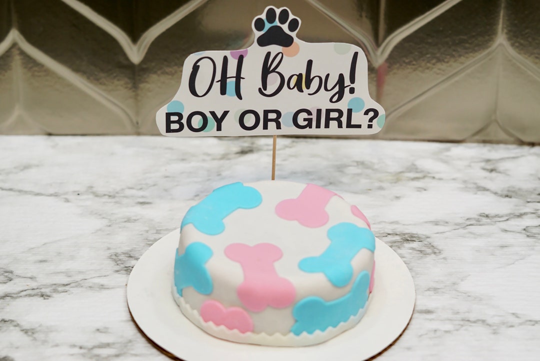 Gender Reveal Dog Cake: 4" PB & Banana Treat, Personalized Pet Gift - Etsy