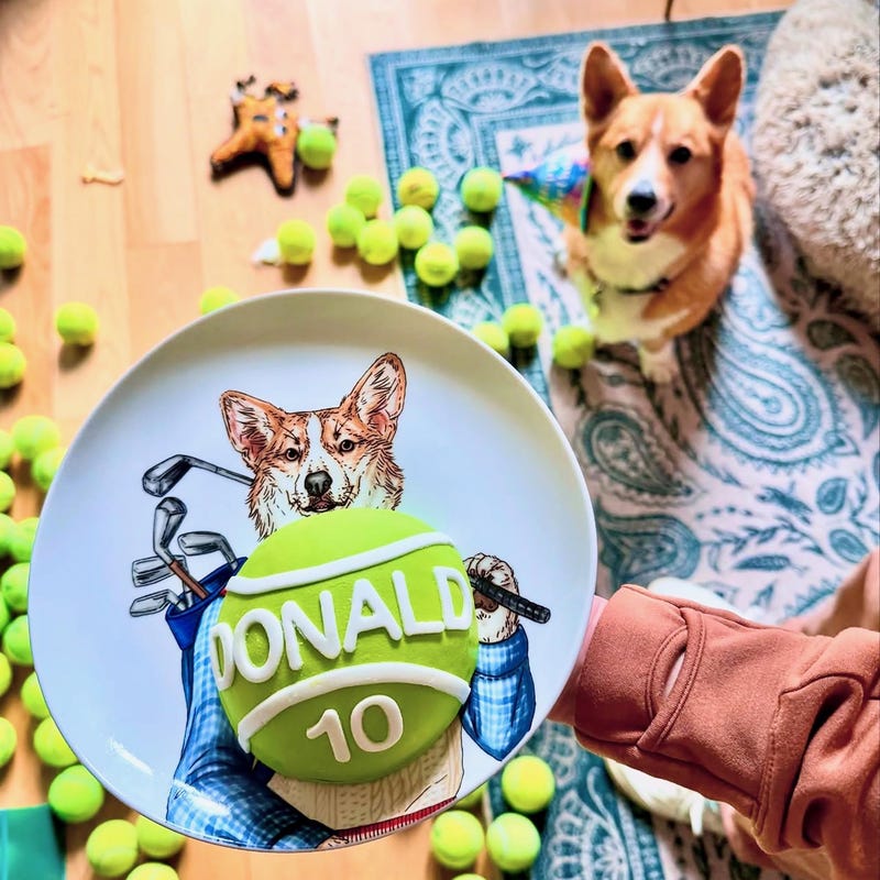 Dog Cakes Ball - Etsy