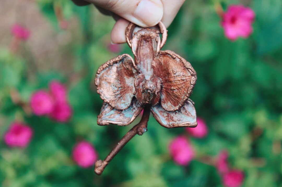 Electroformed Real Orchid Flower - Etsy