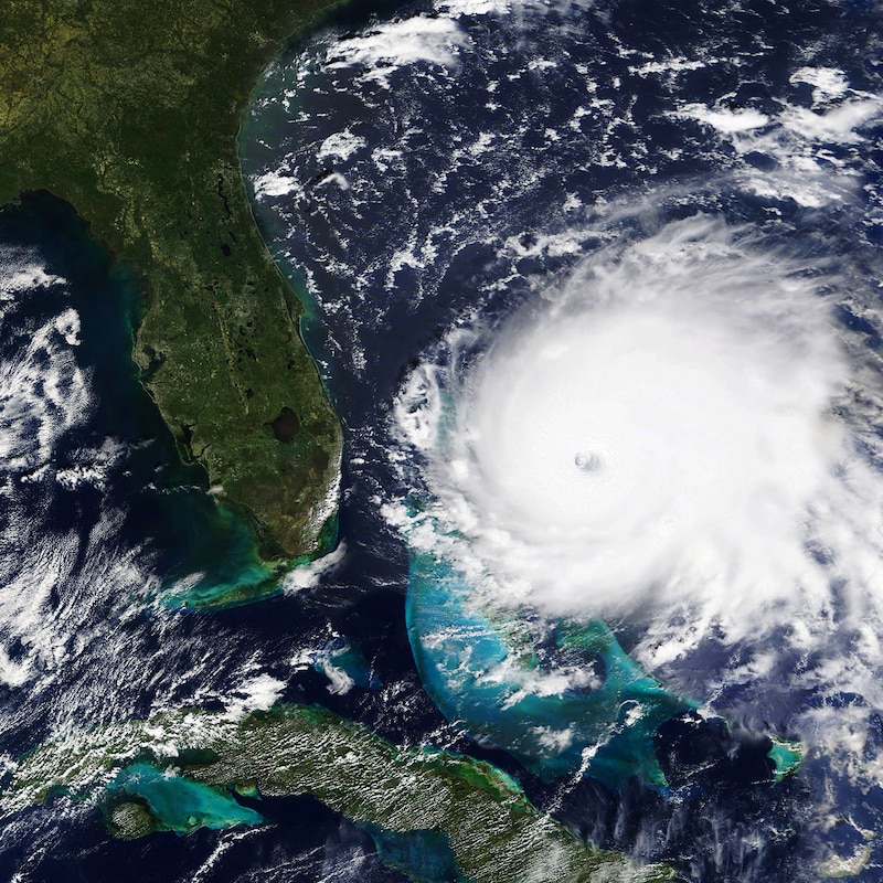 Hurricane Satellite Posters - Etsy