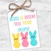 Christian Easter Gift Tag, Jesus is Risen Tell Your Peeps, Easter Treat ...