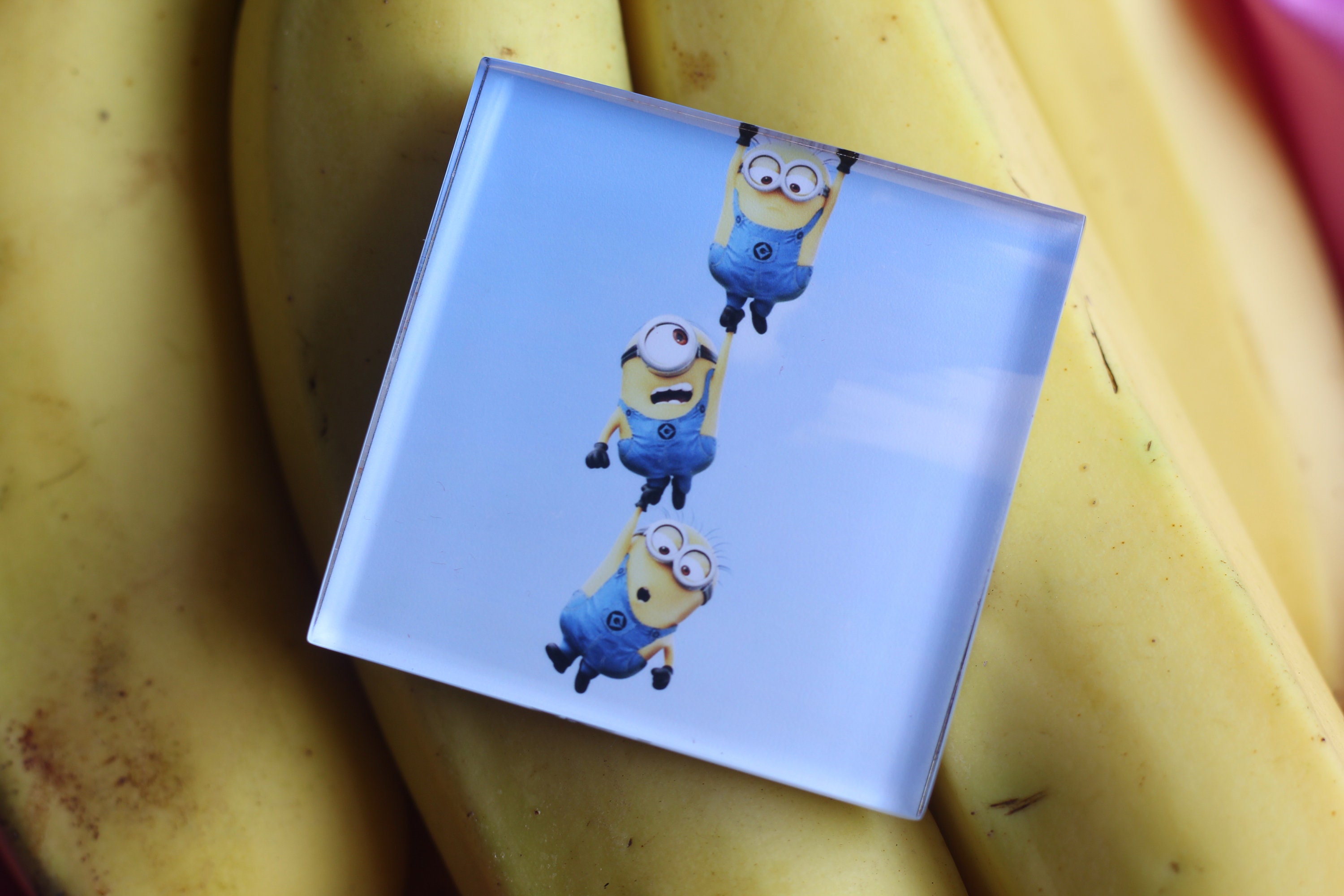 Personalised Custom Photo Magnets in Acrylic Glossy Superior | Etsy