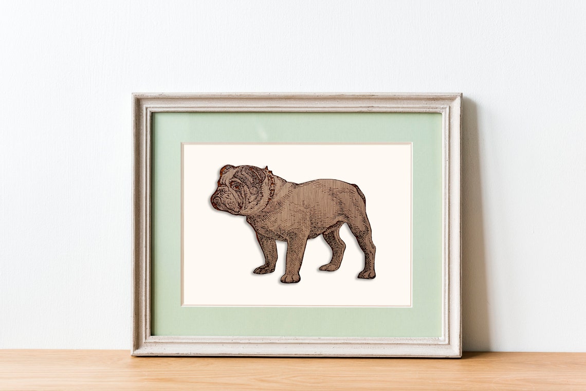 English Bulldog Vector Laser File, Bulldog Dxf Laser Engraving File ...