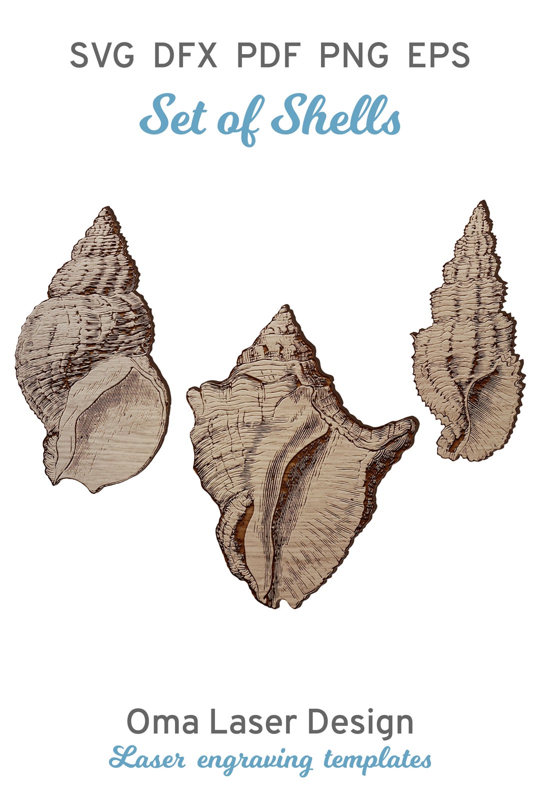 Sea Shell Svg Laser File. Set of 3 Shell Drawings for Laser Engraved ...