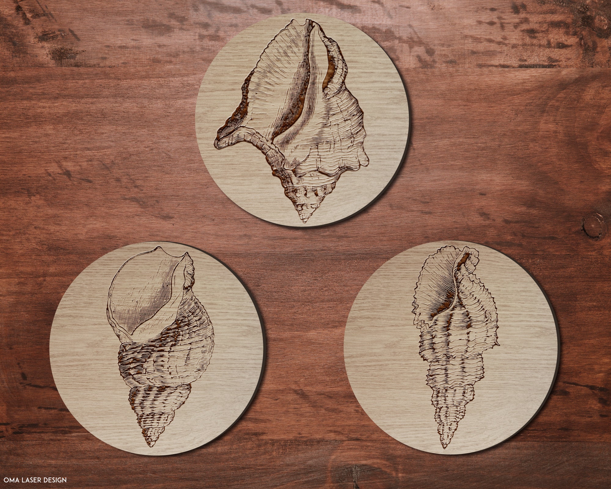 Sea Shell Svg Laser File. Set of 3 Shell Drawings for Laser - Etsy