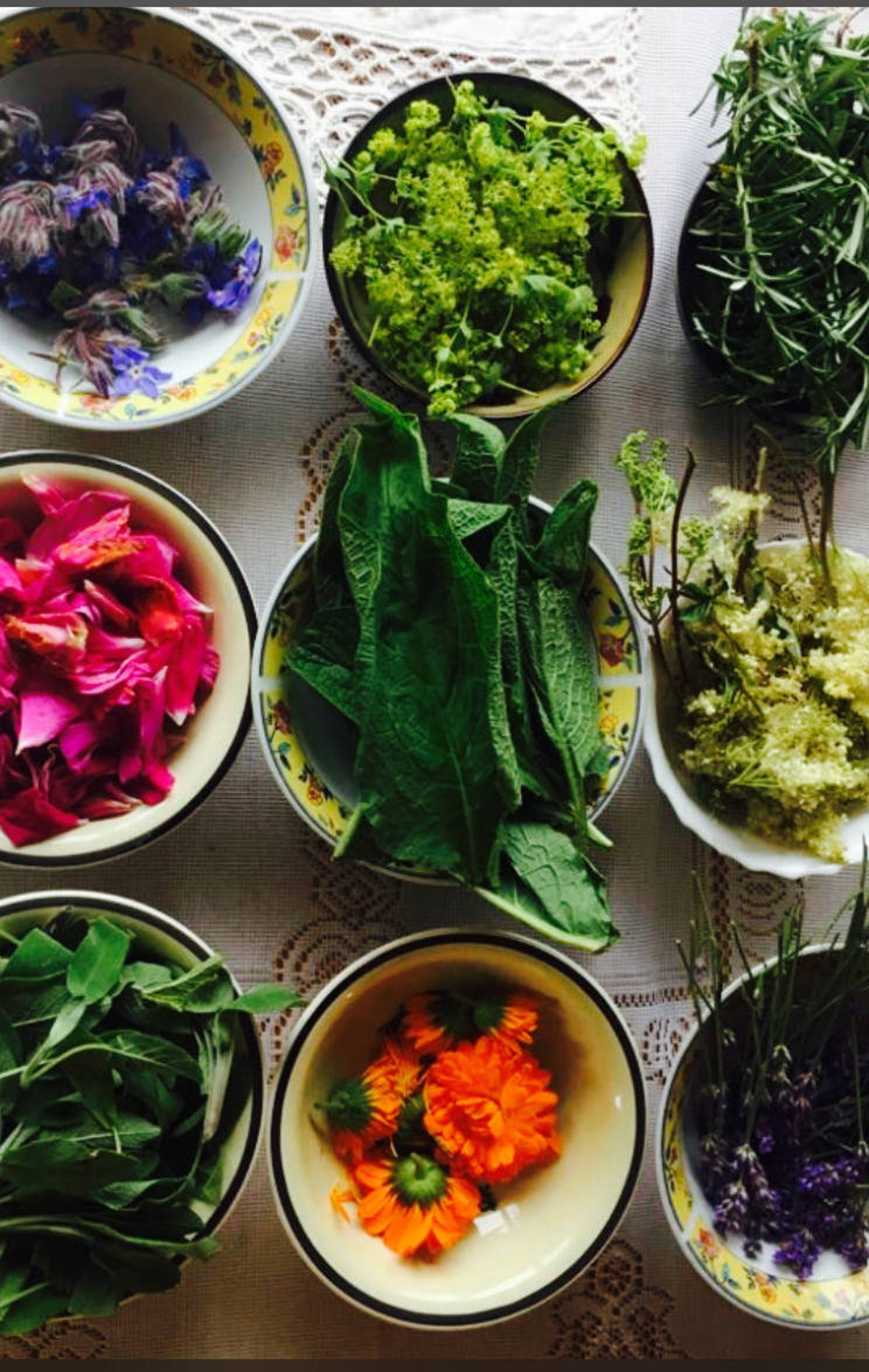 The Spiral Path: A Journey Into Irish Herbs and Spirituality - Etsy