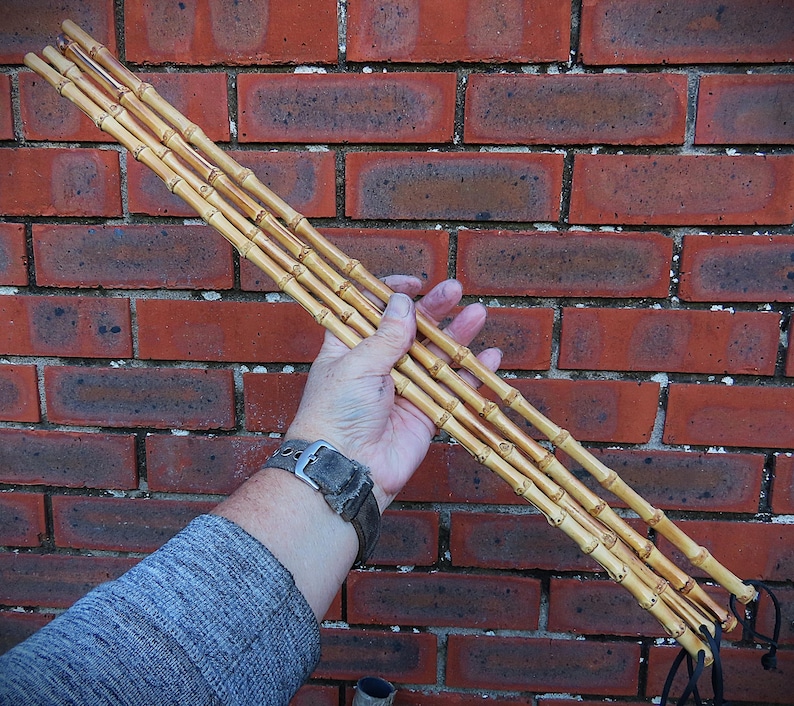 23" Whangee Cane - Etsy