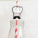 Italian Theme Party Straws Set of 12 Chef Hat Straws Pizza - Etsy