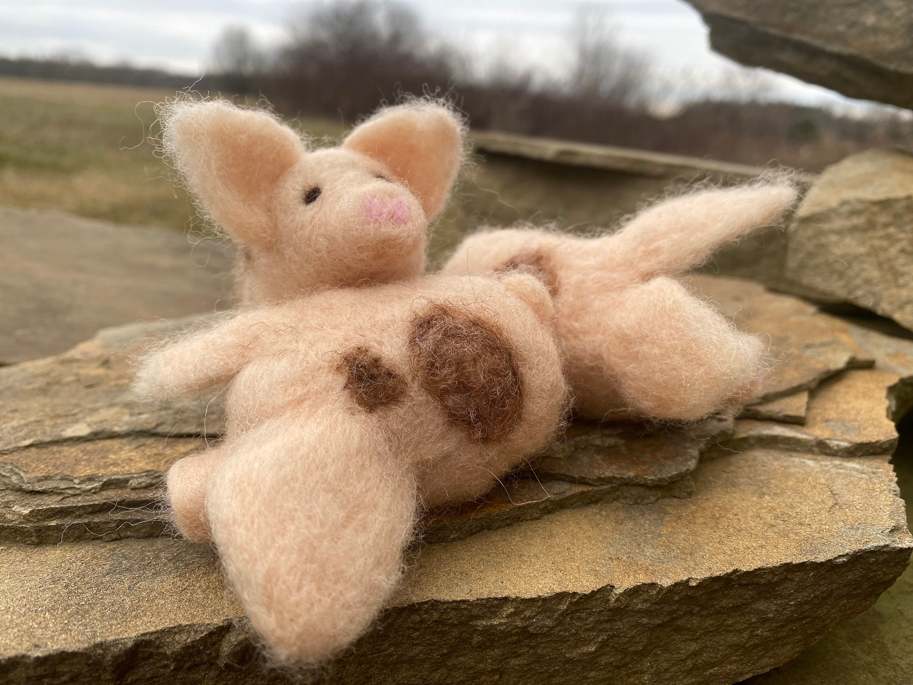 Needle Felted Pigs Three Little Pigs Felt Spotted Hogs - Etsy