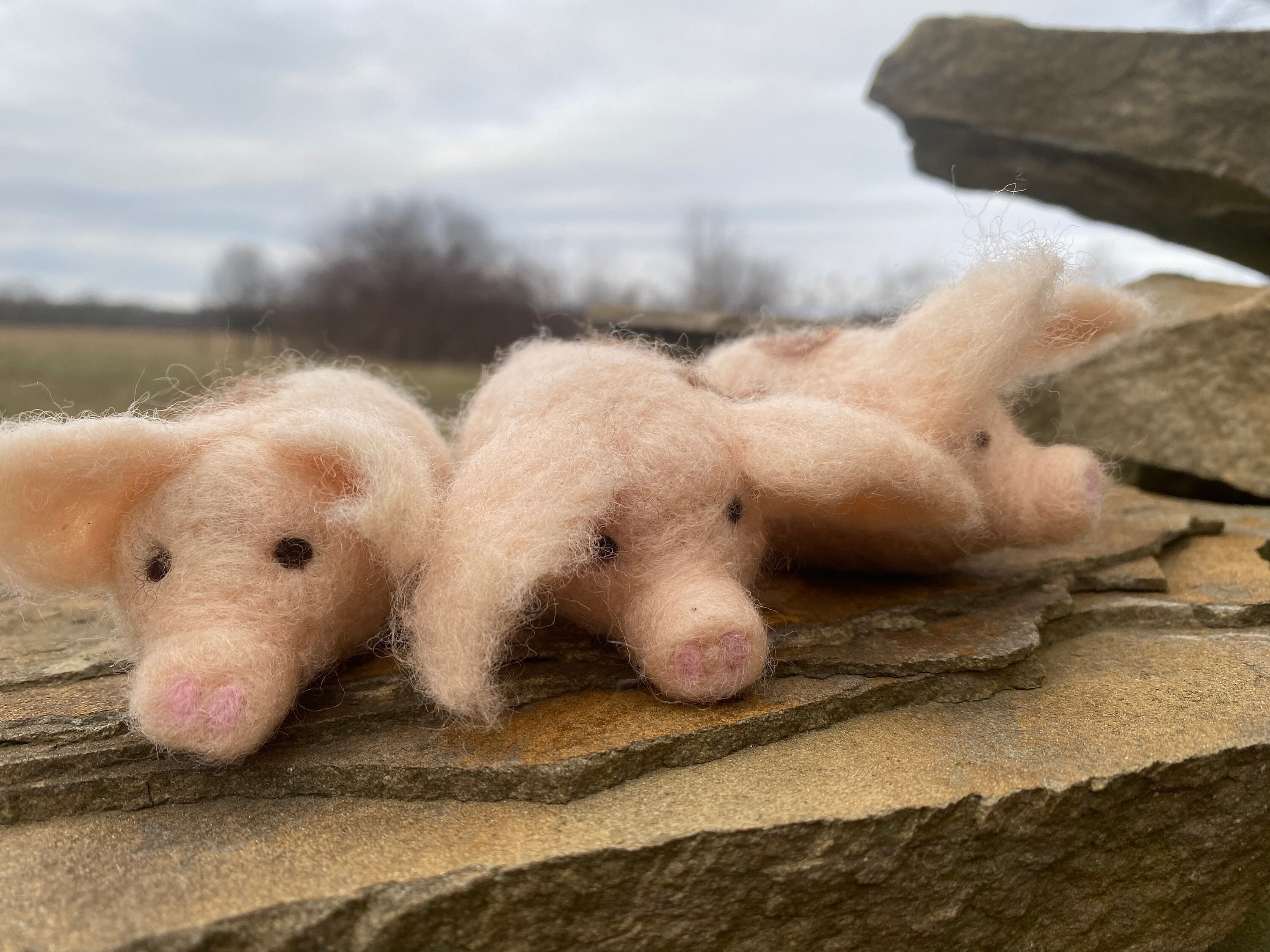 Needle Felted Pigs Three Little Pigs Felt Spotted Hogs - Etsy