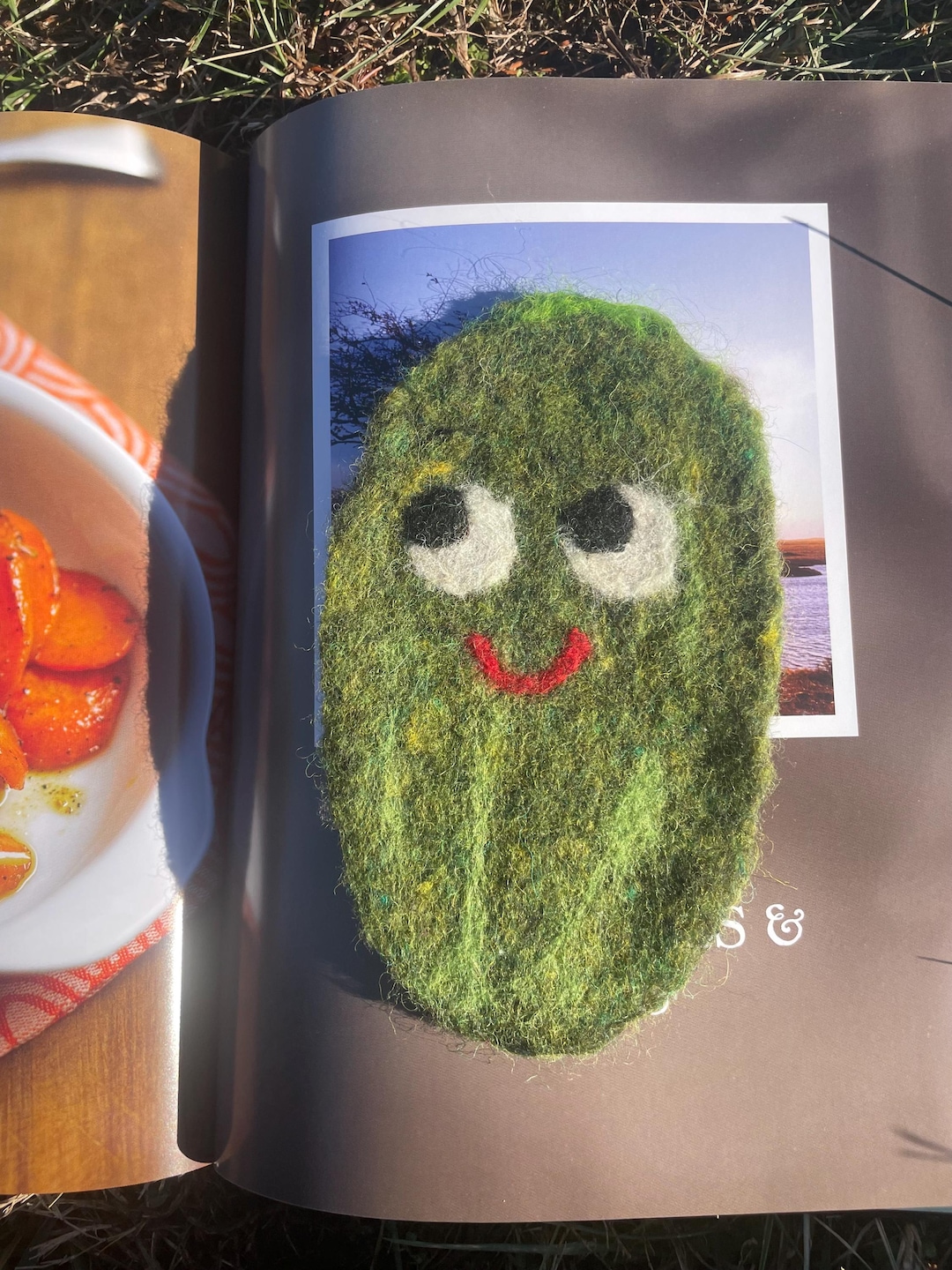 Happy Pickle Bookmark, Felt Book Accessory, Cook Book Lovers Gift ...