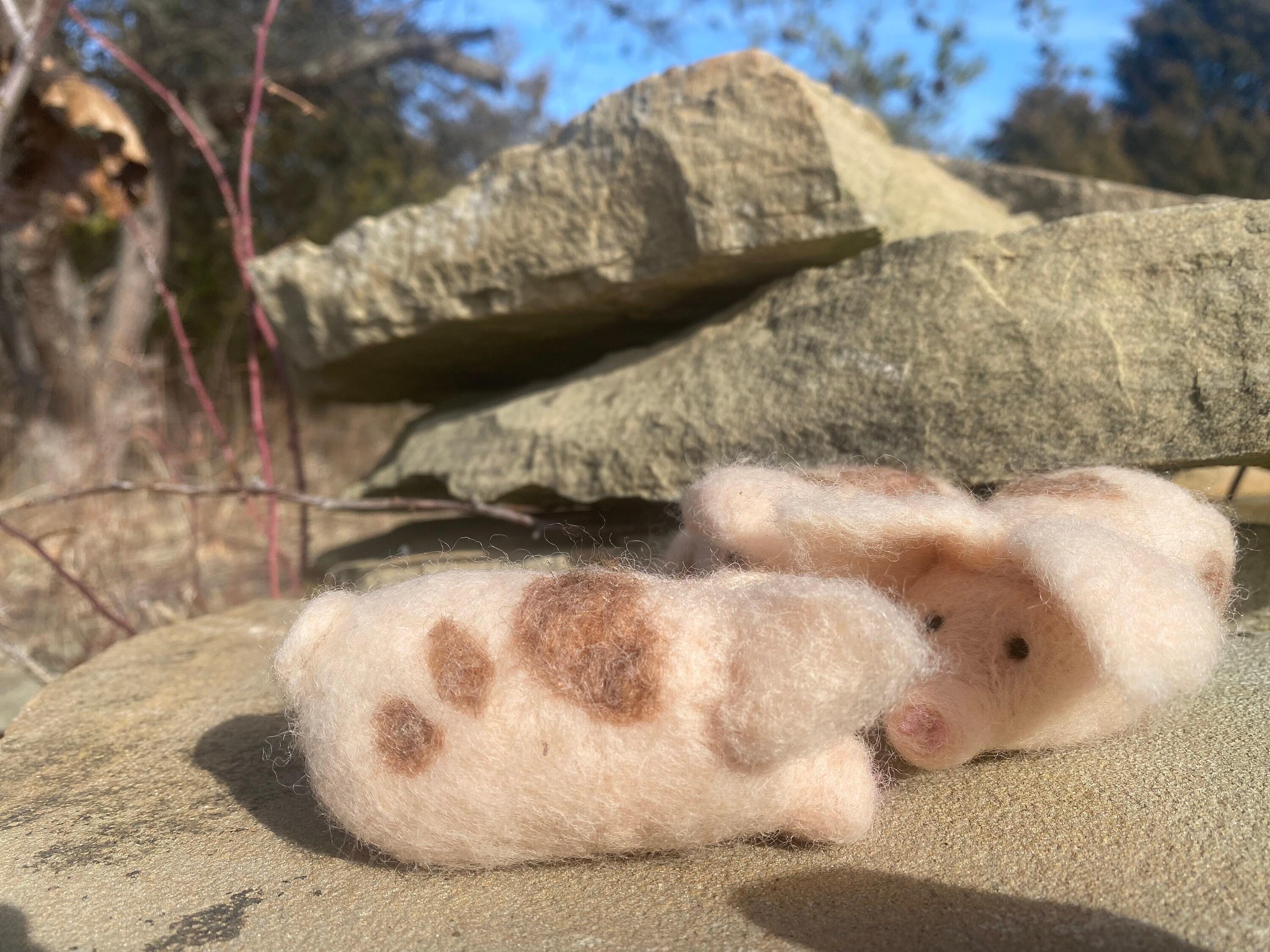 Needle Felted Pigs Three Little Pigs Felt Spotted Hogs - Etsy