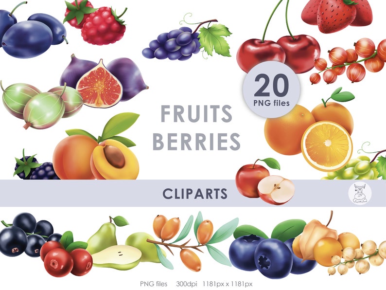 Fruits and Berries Cliparts Colorful Cliparts Digital Files PNG Files ...