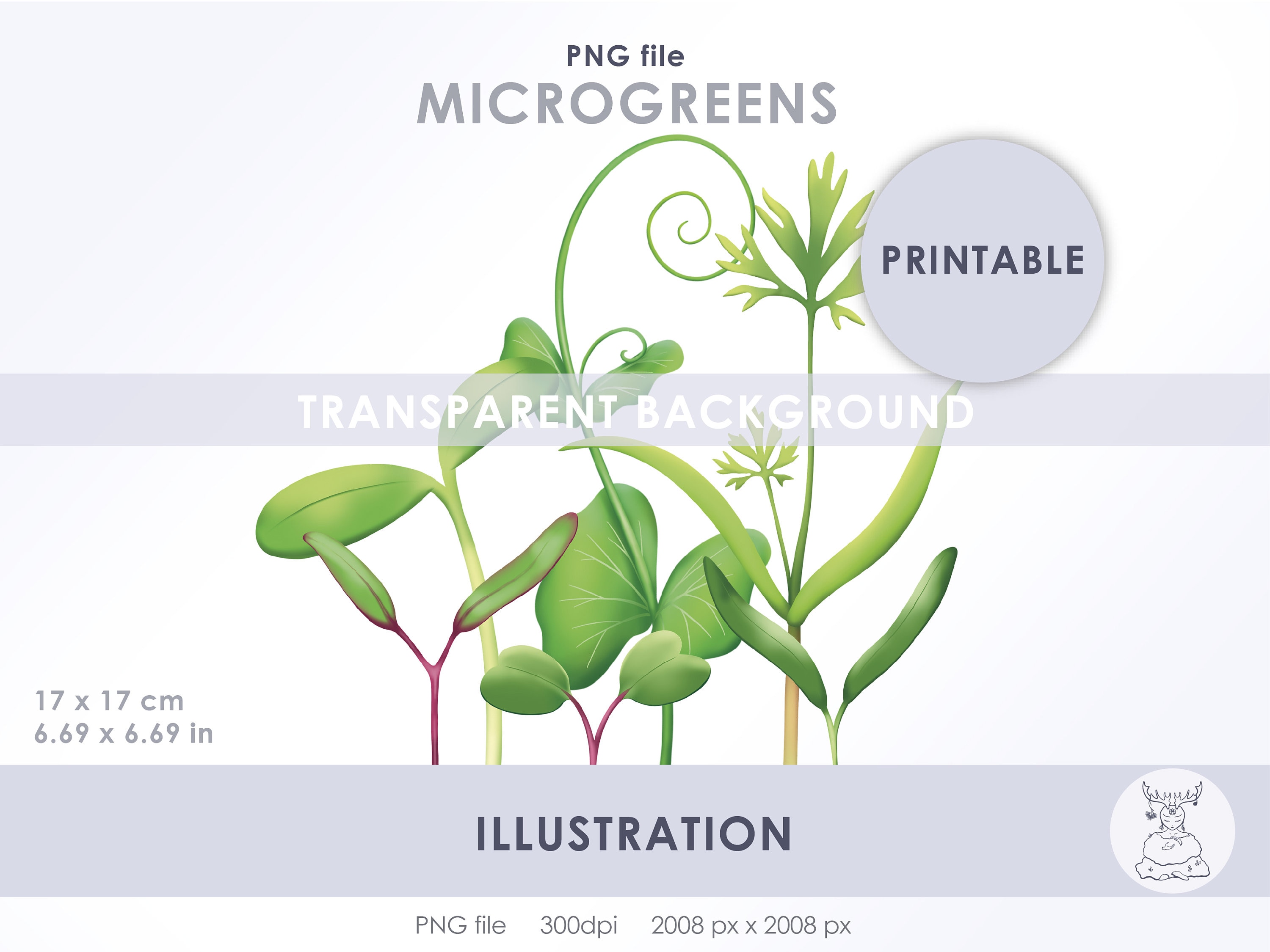 Microgreens Illustration PNG File Digital File Instant Download ...