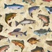 Scandi Fish Small Scale Fabric Fish and Sand Dollars small Scale by ...