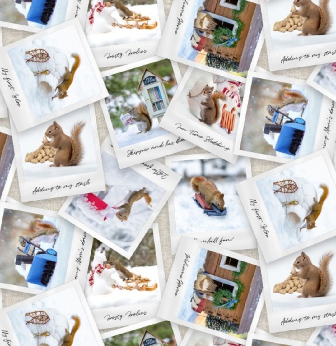 New! "secret Life of Squirrels 2" Squirrel Photos, Squirrels Fabric ...