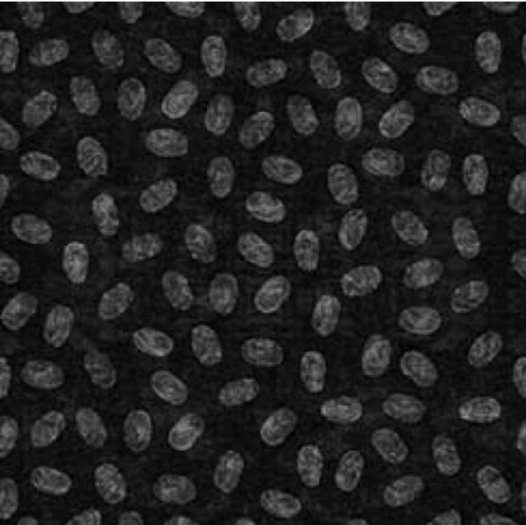 New! "true Detective" Fingerprints, Police, True Crime Fabric!•100% ...