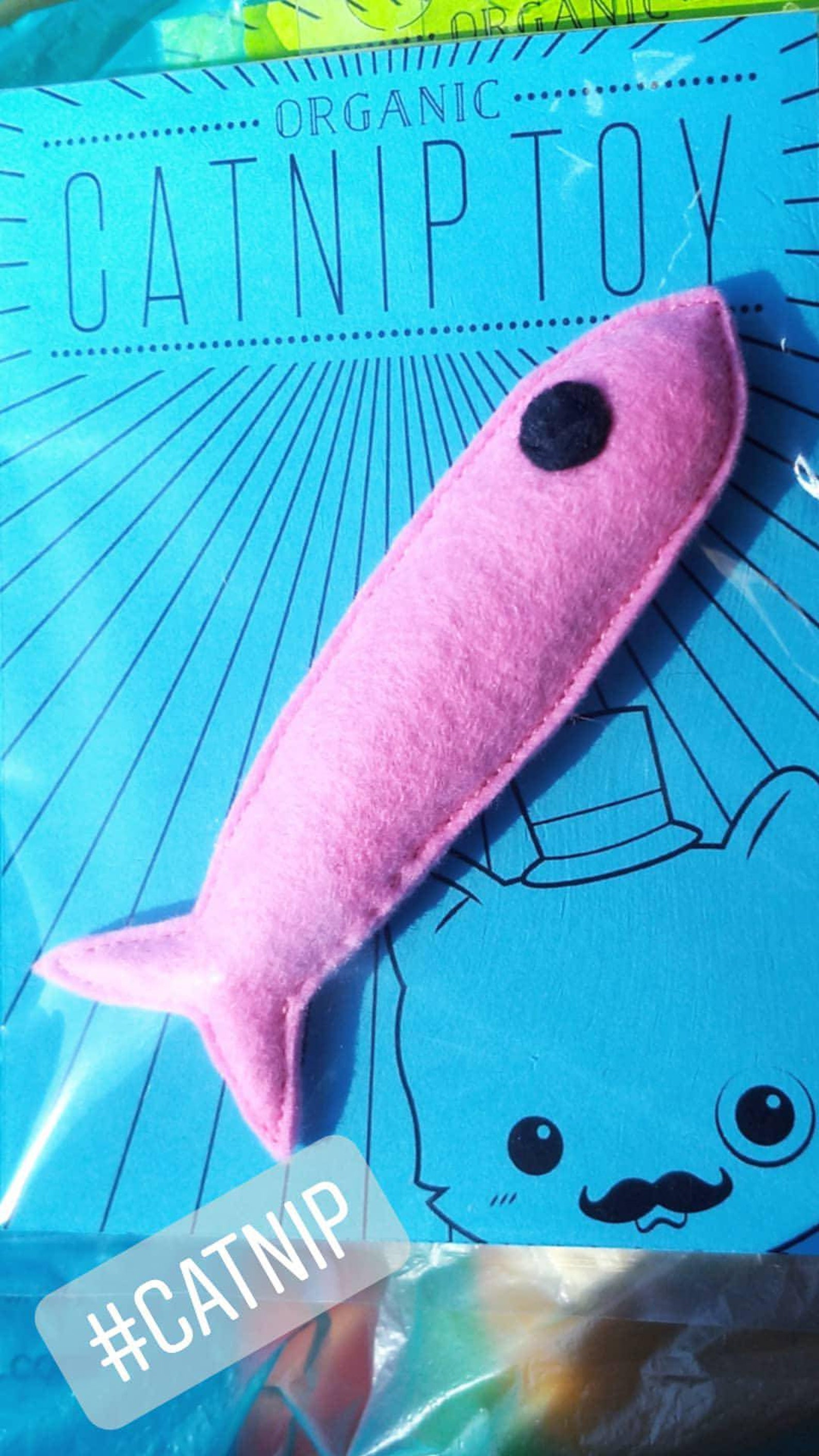 Catnip Fish Toy Cat Toy Set Sardine Fish Toy Gift for Cat Lover ...