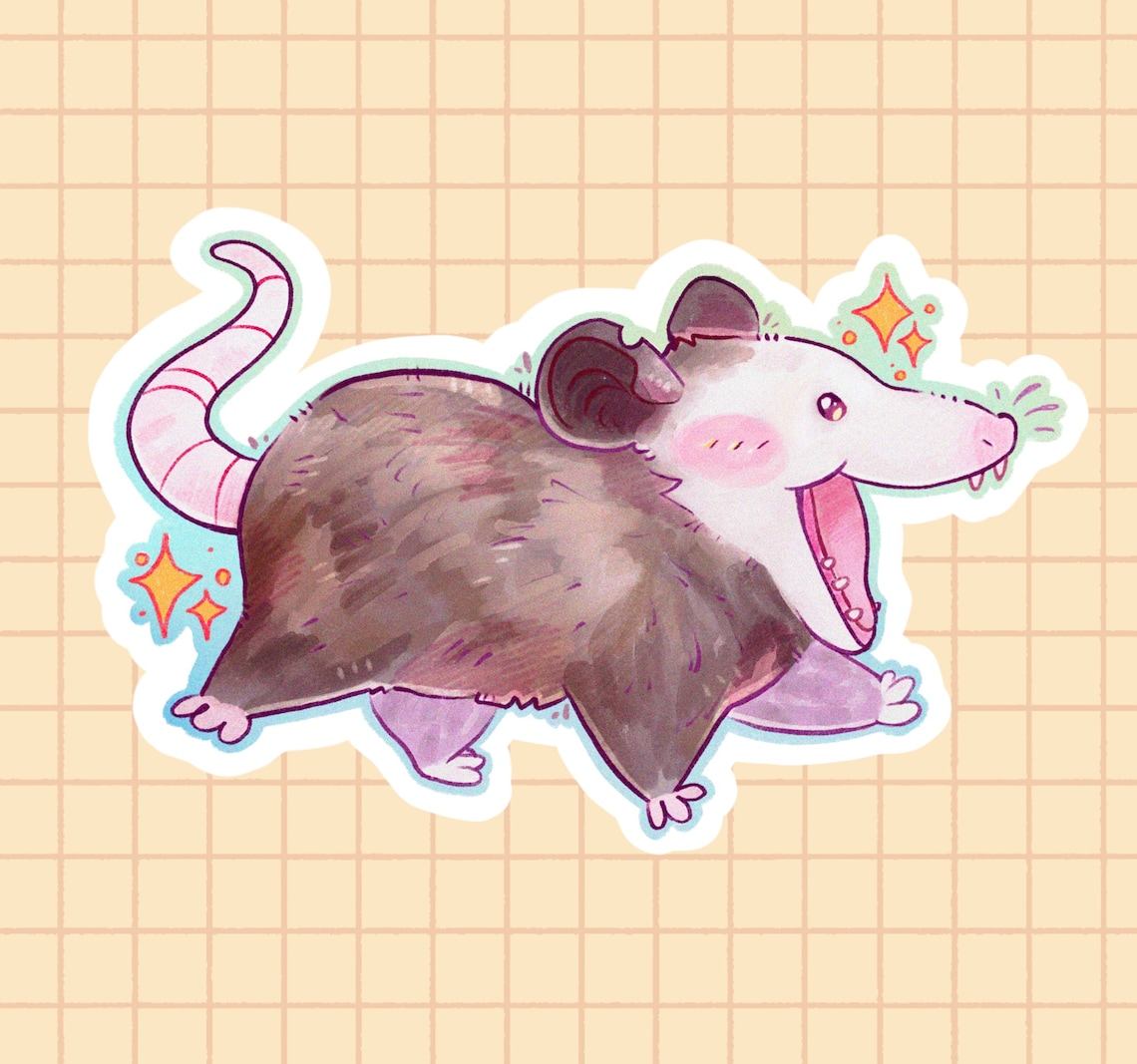 Opossum Sticker - Etsy