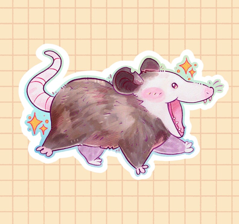 Opossum Sticker - Etsy