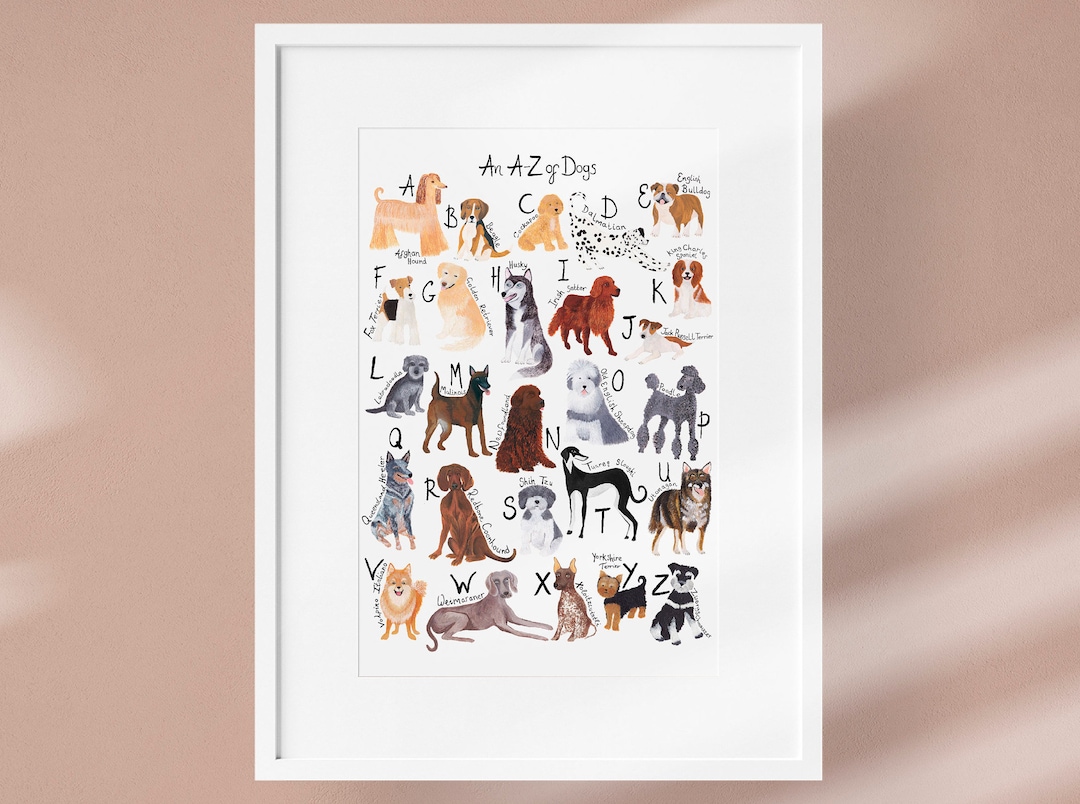 An A-Z of Dogs-a3 Dog Alphabet-alphabet Poster-abc of Dogs-dog - Etsy