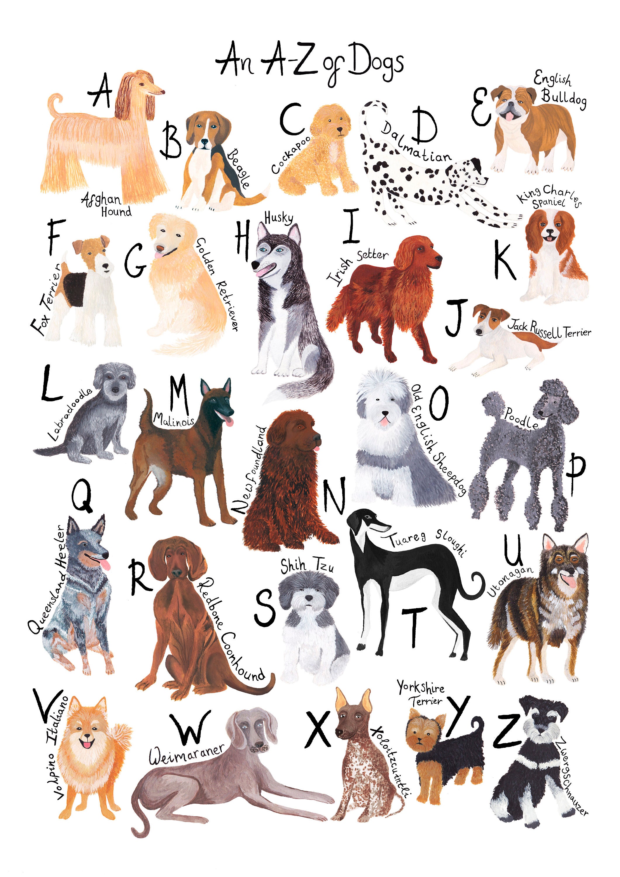 An A-Z of Dogs-a3 Dog Alphabet-alphabet Poster-abc of Dogs-dog - Etsy