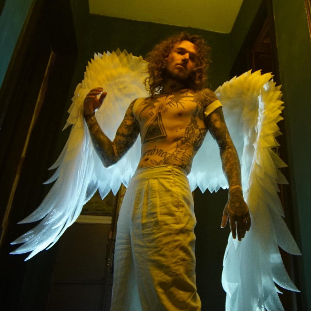Large Angel Wings - Handmade Light-passing Wings for Photoshoots, Stage ...