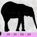 Elephant Figure Elephant SVG PNG Silhouette Zoo Animal Clipart Jungle ...