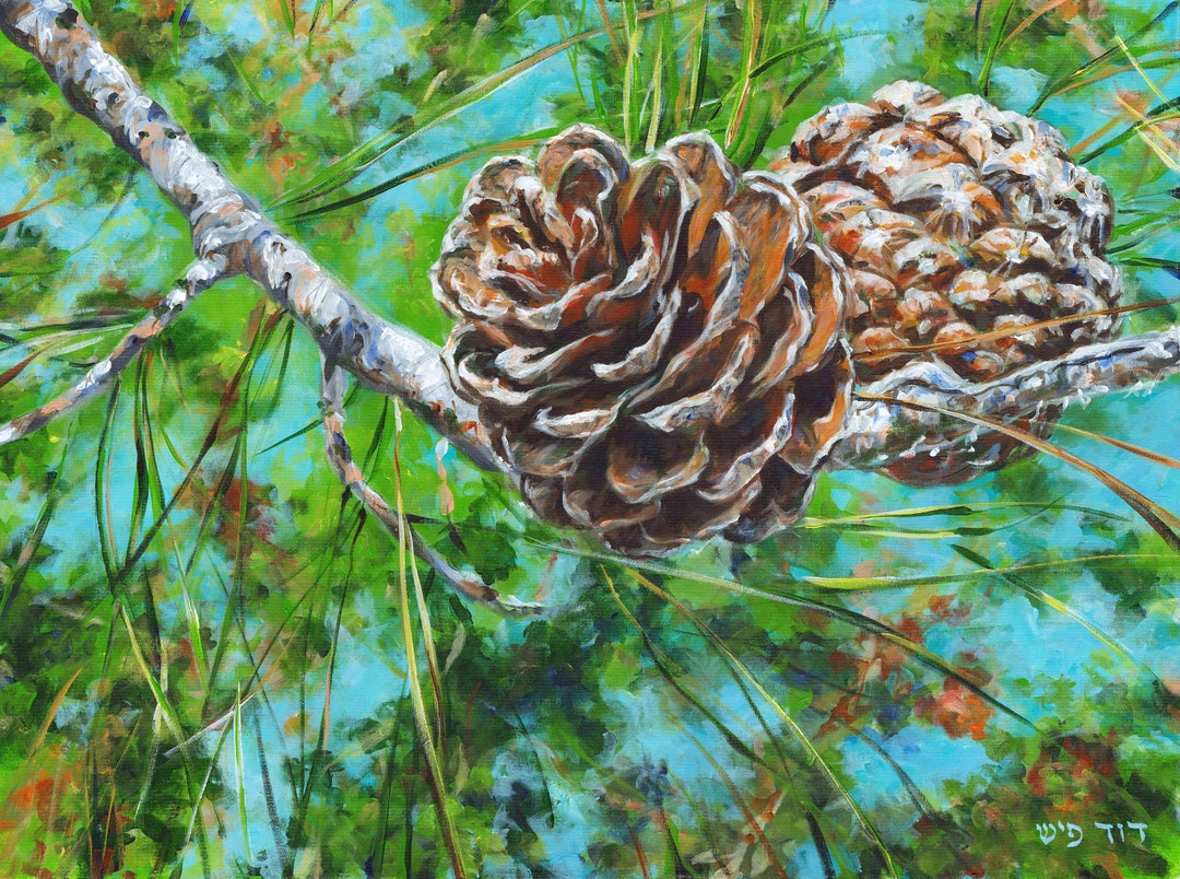 Pine Cone Tree. Israeli Landscape Drawing, Print on High Quality Fine ...