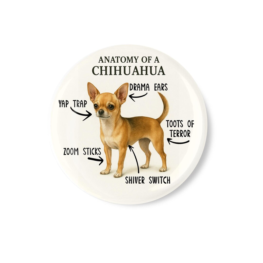 Funny Chihuahua Magnet ~ 3.5" Round Dog Fridge Magnet With Anatomy ...
