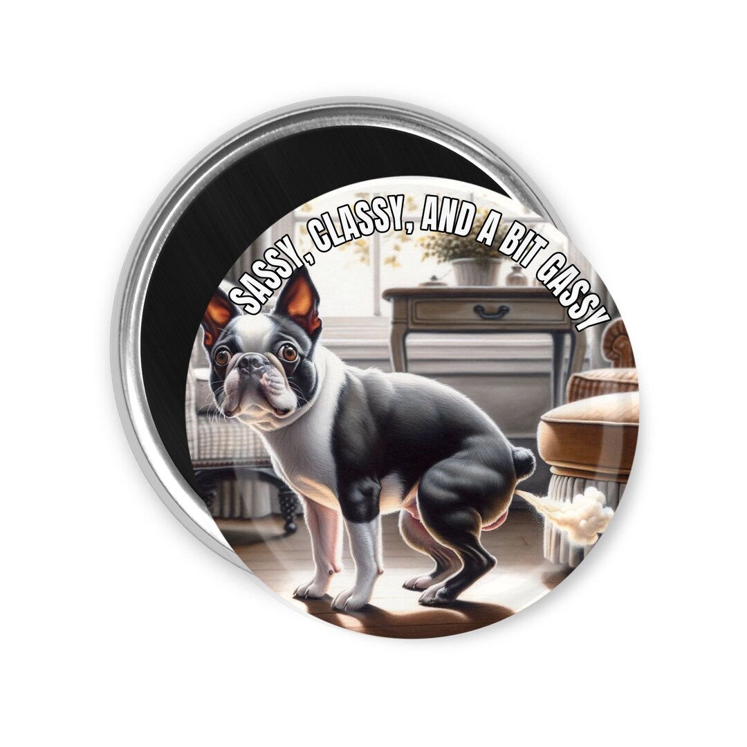 3.5 Hilarious Boston Terrier Sassy, Classy and a Bit Gassy Fridge ...