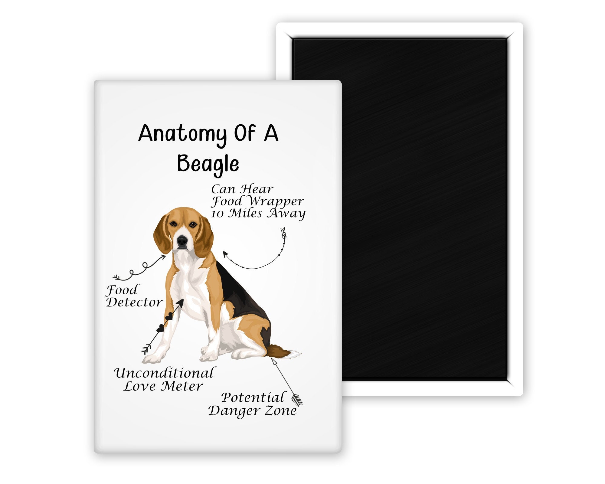 Beagle Meme
