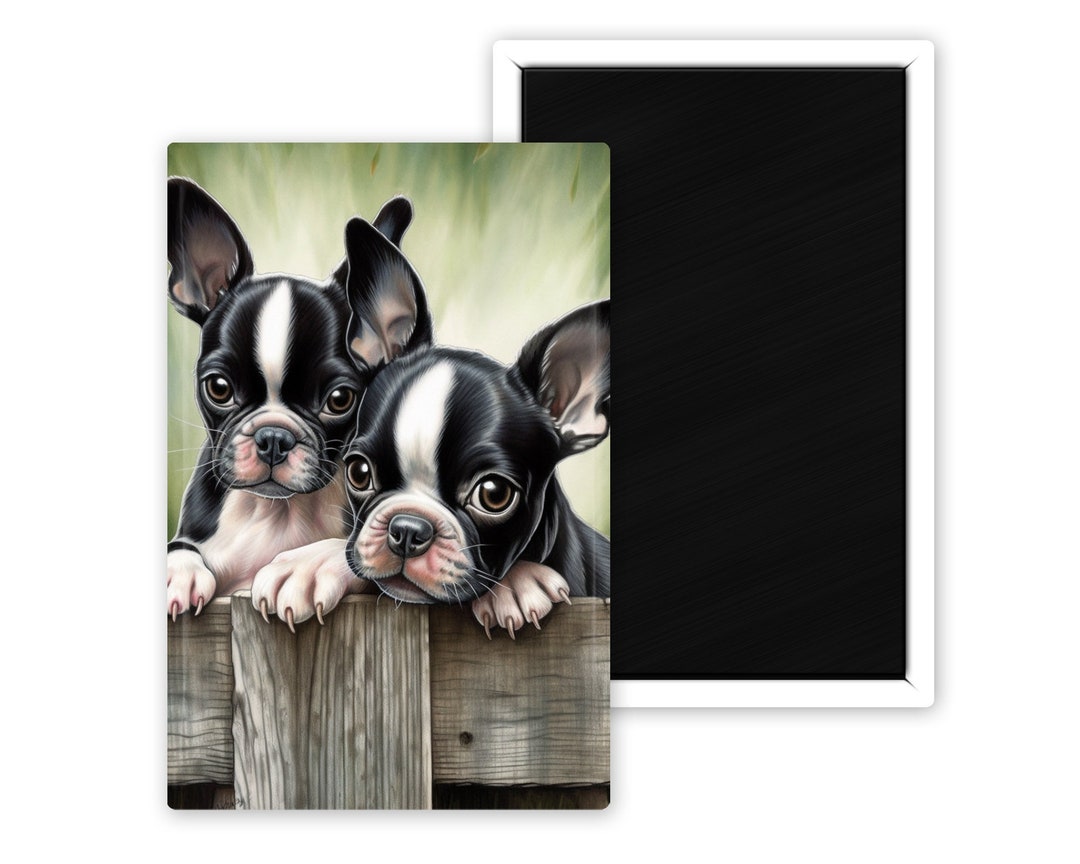 Two Adorable Peeking Boston Terrier Puppies, 2 X 3 Artistic Design ...