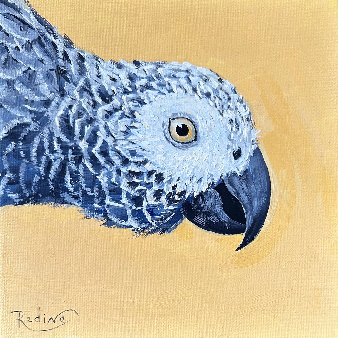 Grey Parrot Portrait Original One of a Kind Painting by Irina Redine ...