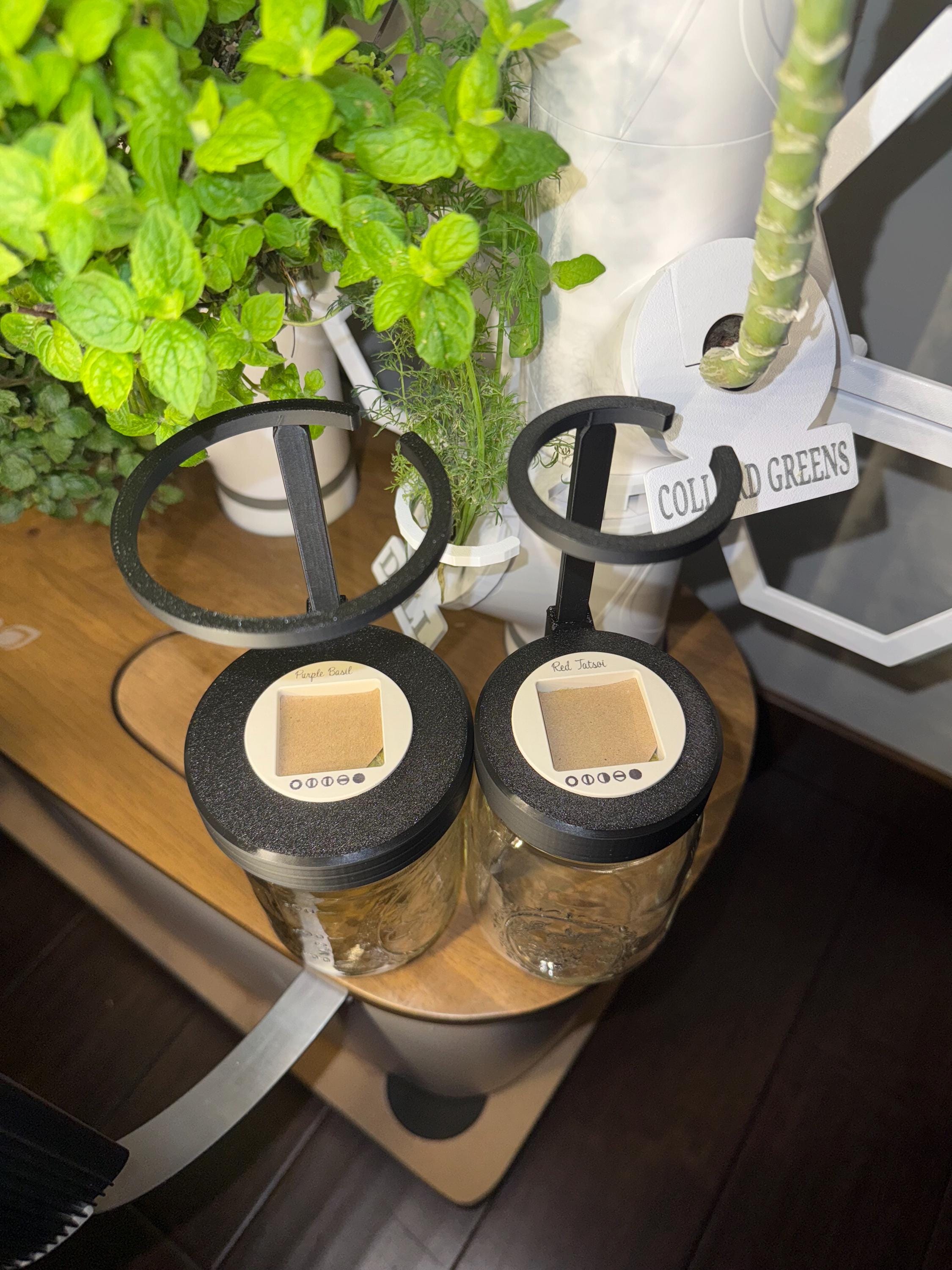 Kratky Mason Jar Hydroponic Gardyn System, All-in-one Kit Compatible ...