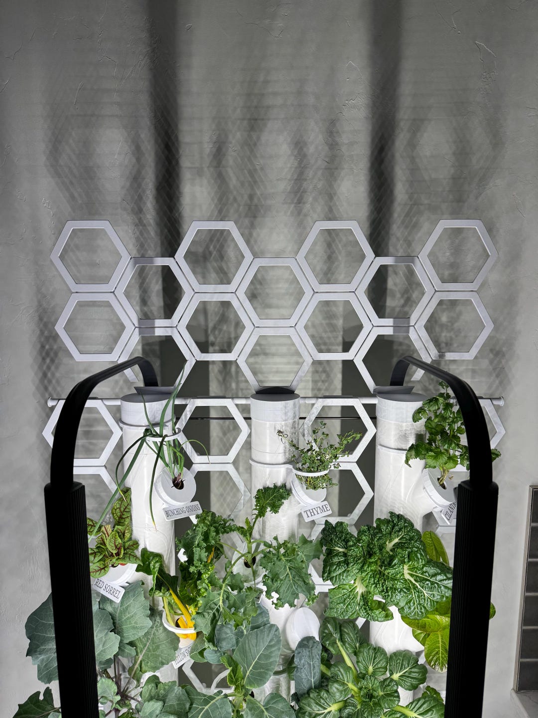 Gardyn System Custom Top Trellis Hydroponic Garden - Etsy