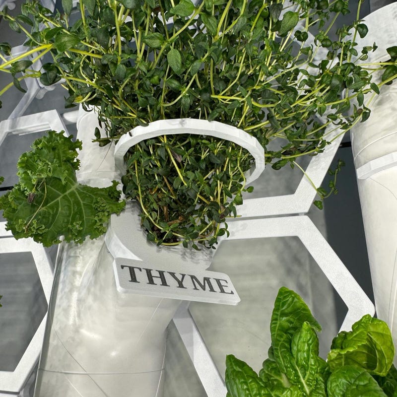 Hydroponic Planter System - Etsy