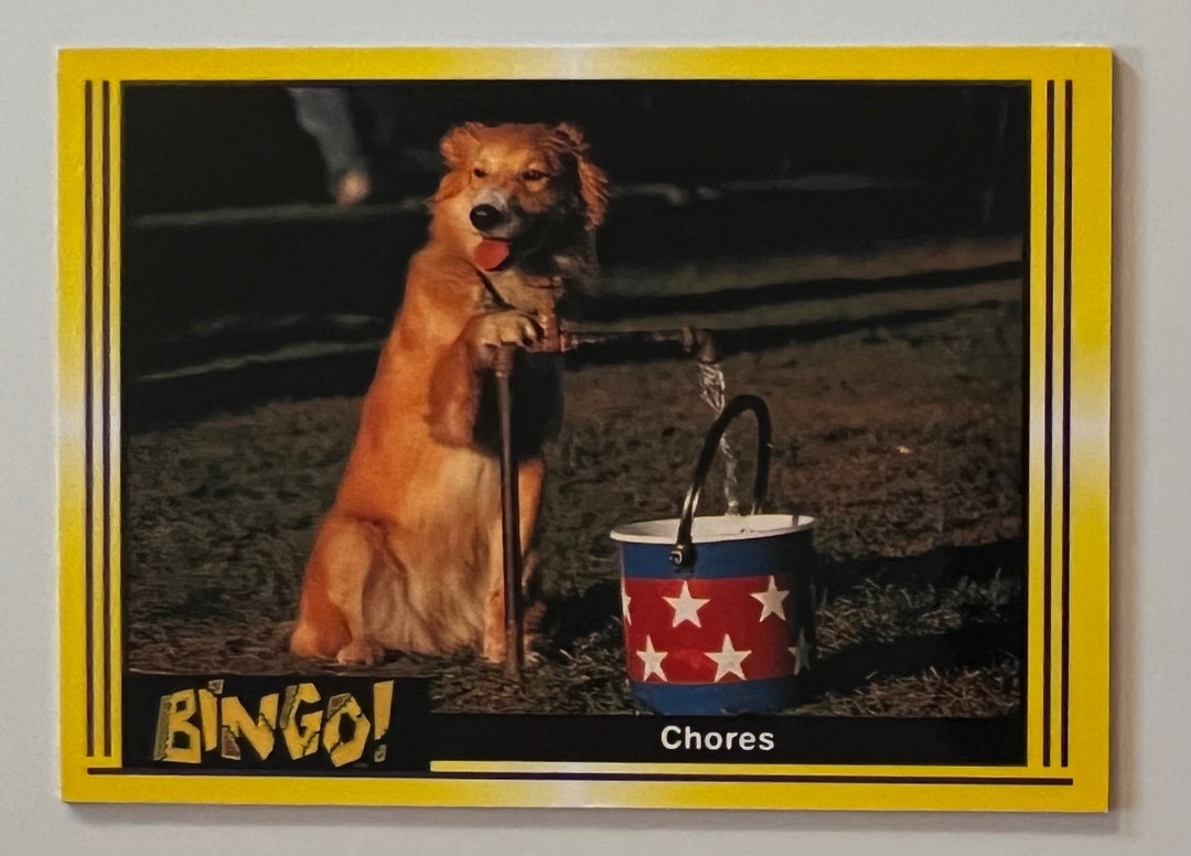 Bingo Recycled Trading Card Fridge Magnet - Etsy